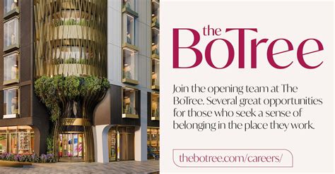 The Botree On Linkedin Team Amazingopportunity Career Consciousluxury