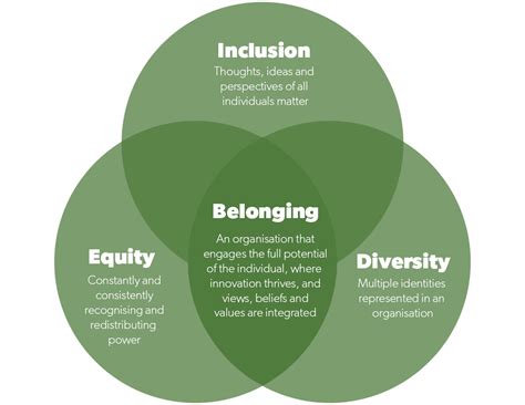 Policy Diversity Equity Inclusion And Belonging Group