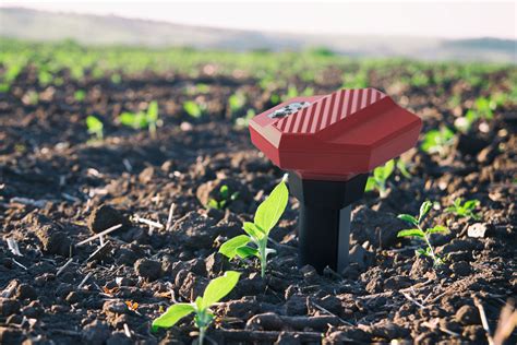 Teralytic Debuts Wireless Sensor Of Soil Conditions Vegetable Growers