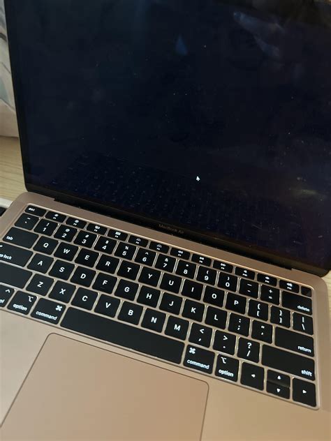 black screen mac via bootcamp r palia