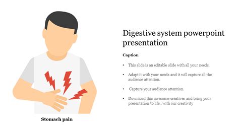 Best Digestive System Powerpoint Presentation Template