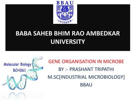 Ppt On Microbial Genome Pptx