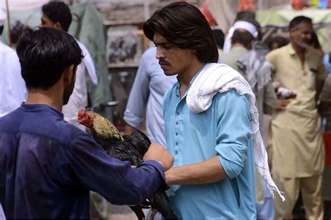 A Roadside Vender Displaying Rooster To Attract The Customers In Friday