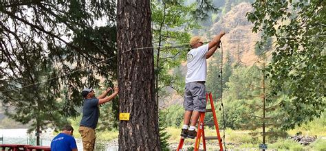 Volunteer Chinook Fest