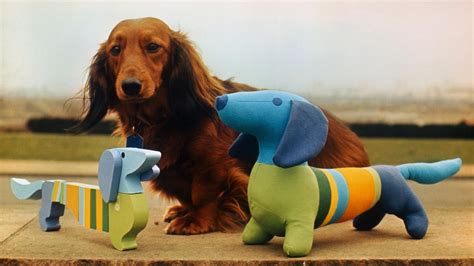 Olympia Maskottchen Der Sommerspiele Waldi Und Seine Nachfolger