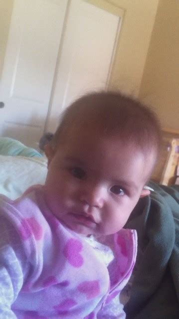 Img 0984 Nick Messick Flickr