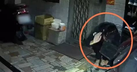 台南男護通緝友人竟闖紅燈逆向狂飆 警連開15張罰單下場慘 社會 Ctwant