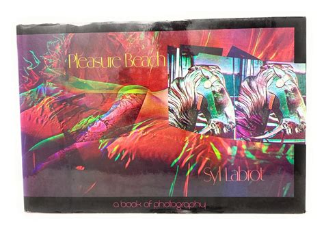 Pleasure Beach Syl Labrot 9780614182040 Books