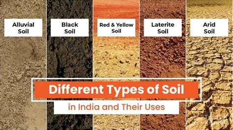 Types Of Soil In India Methods And Process