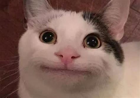 Can You Guy Upload Funny Cursed Images And Stuff Its For Art If Any