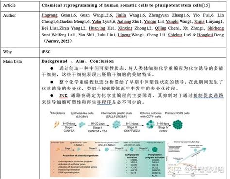 Hcipsc Chemical Reprogramming Of Human Somatic Cells To