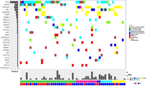 Heatmap Of Cgp Panel In 60 Cases Heatmap Of The Mutation Pattern Of