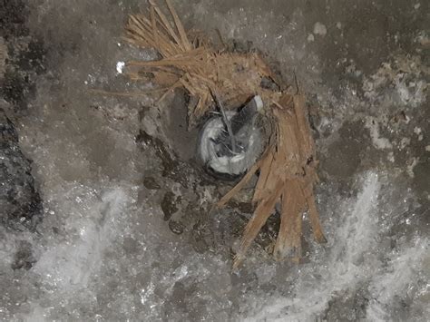Anchor K3 Vernier After Breaking Using Destructive Test A Roof