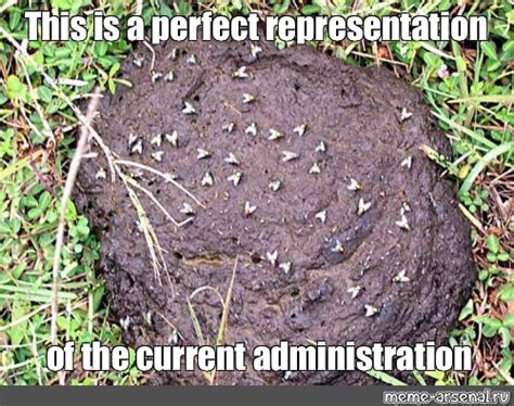 Meme This Is A Perfect Representation Of The Current Administration All Templates Meme