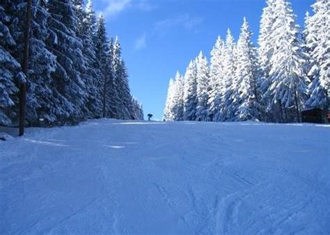 Partiile Baisoara Partii Schi Cluj Sky Trip