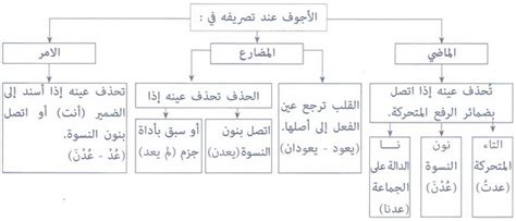 الدرس اللغوي 4 تصريف الفعل المعتل المثال والأجوف Alloschool