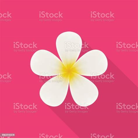 분홍색 배경 평면 디자인 스타일에 긴 그림자와 함께 Plumeria 꽃 아이콘 0명에 대한 스톡 벡터 아트 및 기타 이미지
