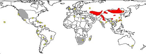 Summary Of The Geographic Distribution Of Plague Y Pestis Over