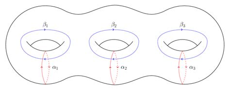 1 Canonical Homology Basis Of A Compact Riemann Surface Of Genus 3
