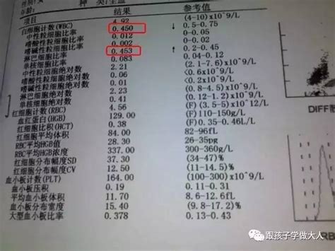 推測胎兒男女的幾個秘密方法！准父母不看會後悔！ Ifuun