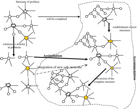 Structure Of Complex Problem Solving Adopted From Subanji 2007