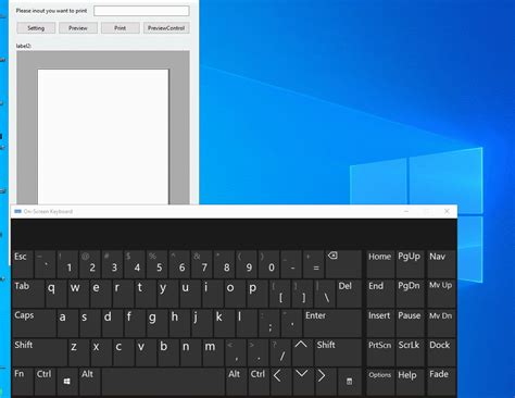 The PrintPreviewControl Control Have No Dotted Rectangle When Using