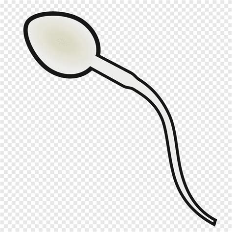 مجوهرات جسم السيارة ، سيارة السيارات النقل Png