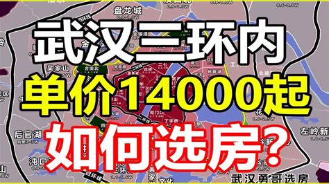 武汉三环内选房14000起如何选房中关村动漫城城投国博城龙湖揽境幸福湾星语 YouTube