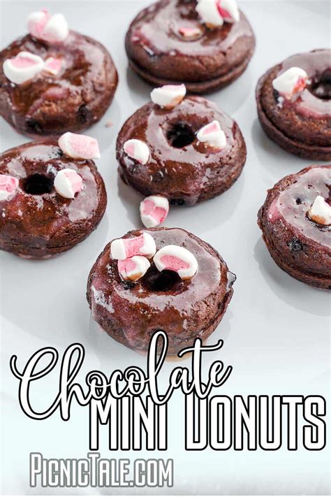 Chocolate Mini Donuts Picnic Tale