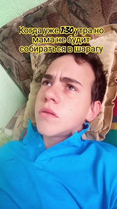 добрынямем добрынятикток трибогатырятикток врекипж врек говреки