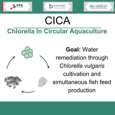 Ibd Group On Linkedin Blueplanetecosystems Aquaculture Microalgae Remediation