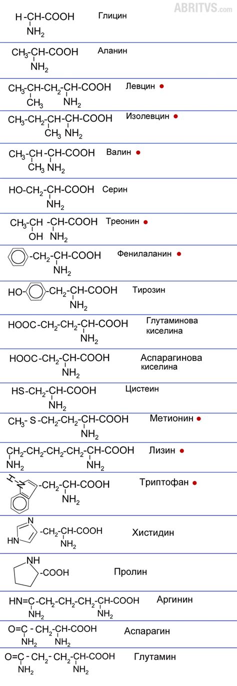 Заменими и незаменими алфа аминокиселини