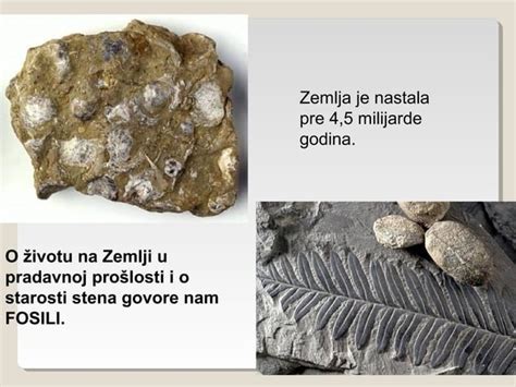 10 Reljef Zemlje Ppt