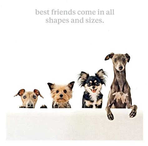 Funny Card Friends Come In All Shapes And Sizes Comedy Card Company