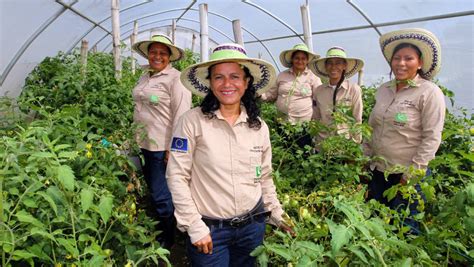 Participación laboral femenina en América Latina más y mejor es