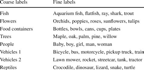 Exemplar Labels In The Cifar 100 Data Set Download Table