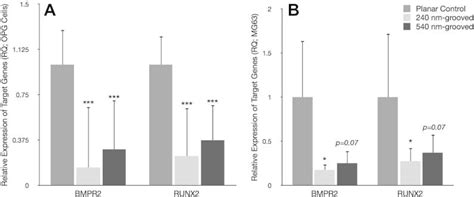 relative expression of target genes bmpr2 and runx2 opgs values
