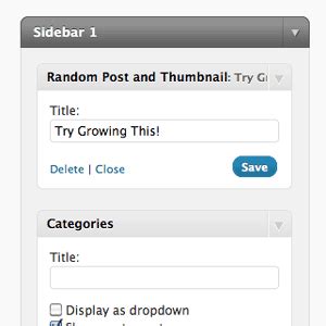 How To Create Your Own Basic Wordpress Widgets