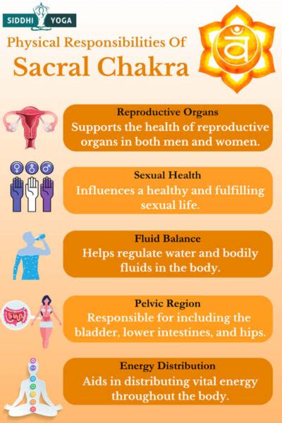 The Sacral Chakra Meaning Function And Location Siddhi Yoga