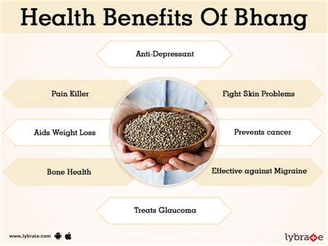 Bhang Benefits And Its Side Effects Lybrate