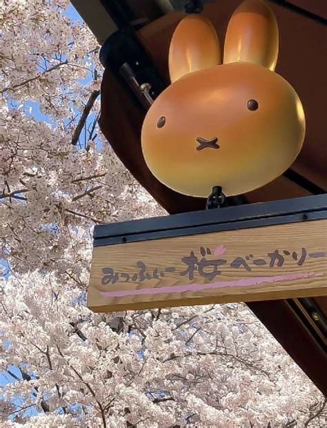 Miffy Sakura Kitchen In Arashiyama Kyoto ♡ྀི⑅˙˳