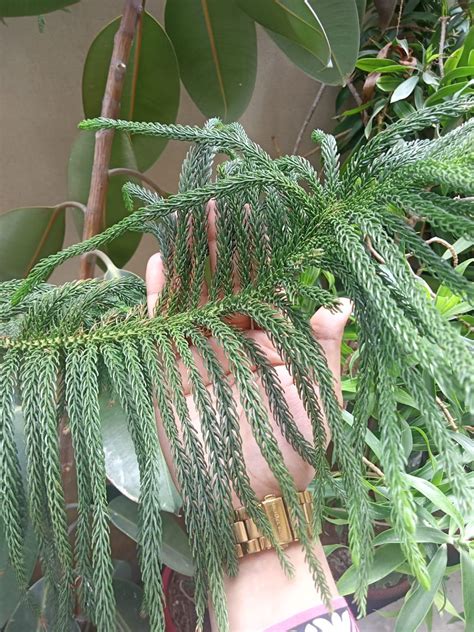 hassan ali rind baloch on linkedin if you have been wanting to do your bit for society and have