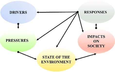 A Visual Representation Of The Constituents And Flows Of Dpsir