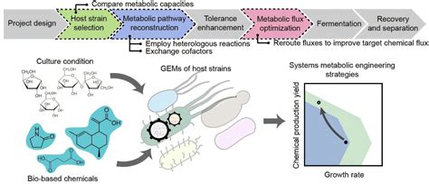 Analysis Identifies Optimal Microbes For Sustainable Chemical Production Analysis Identifies Optimal Microbes For Sustainable Chemical Production