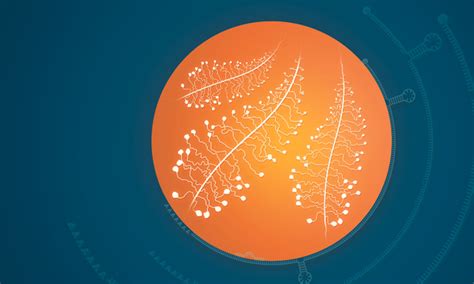 Making Sense Of Rna Five Key Insights From A Recent Embo Embl Symposium Embl