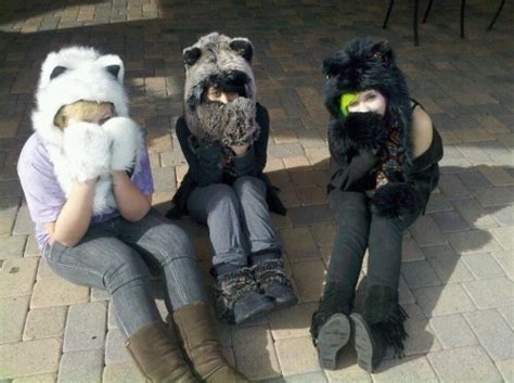 Hai Leda Bear On Tumblr