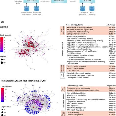 Functional Enrichment Analysis A Workflow For Prediction Of Long