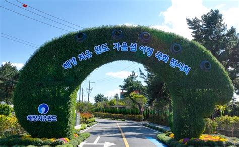 완도 해양 치유센터서 25일 국화 전시회 개막 연합뉴스