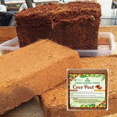 Gof Coco Pith Pack Size 12 X 12 X 4inch At Rs 250 Kg In Tiruchirappalli Id 18395259173