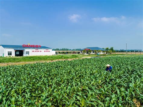 武汉经开区新增2家省级科技特派员工作站 农业 新品种 技术
